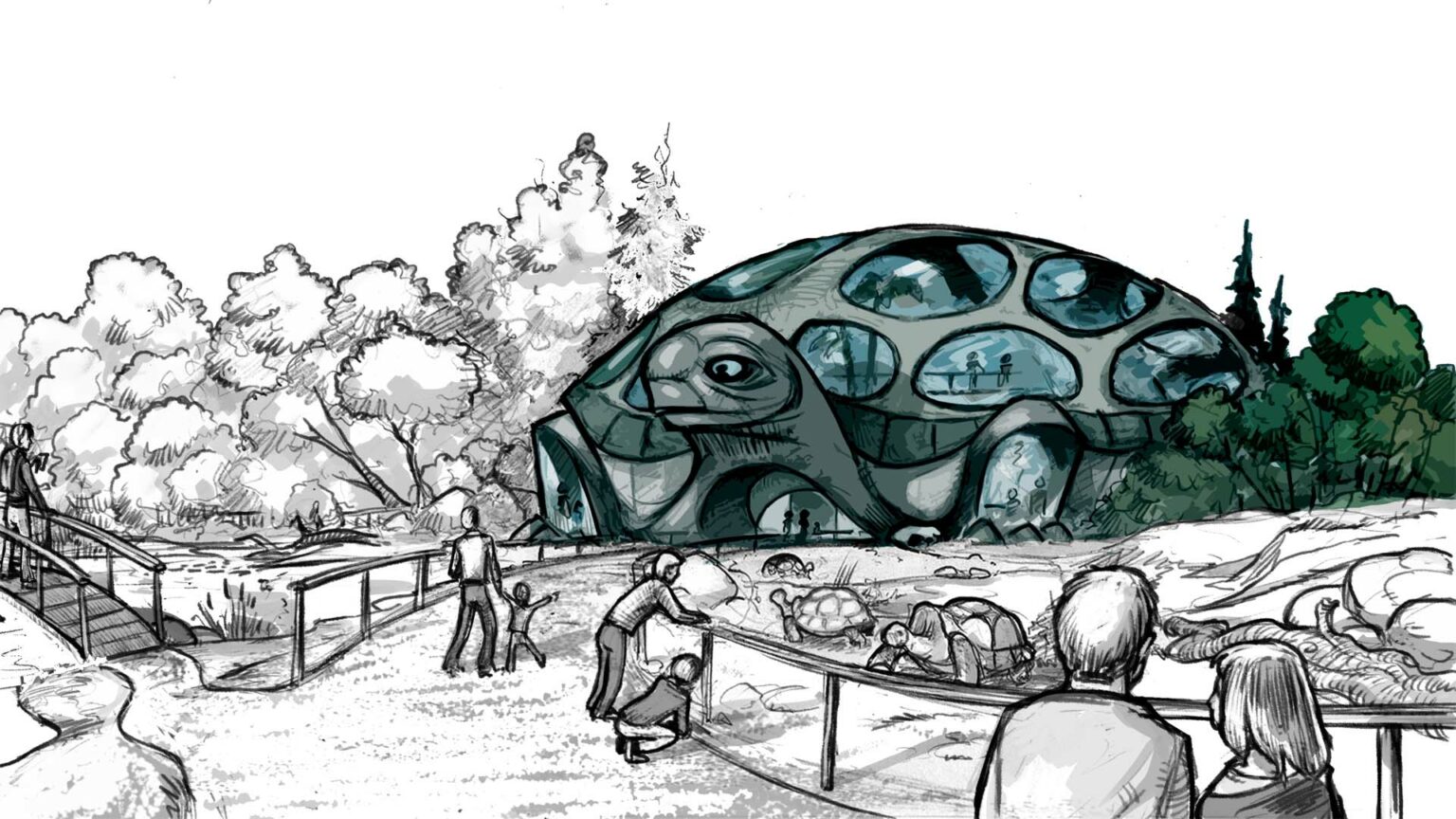 About Turtle Island: Saving Endangered Turtles 🐢